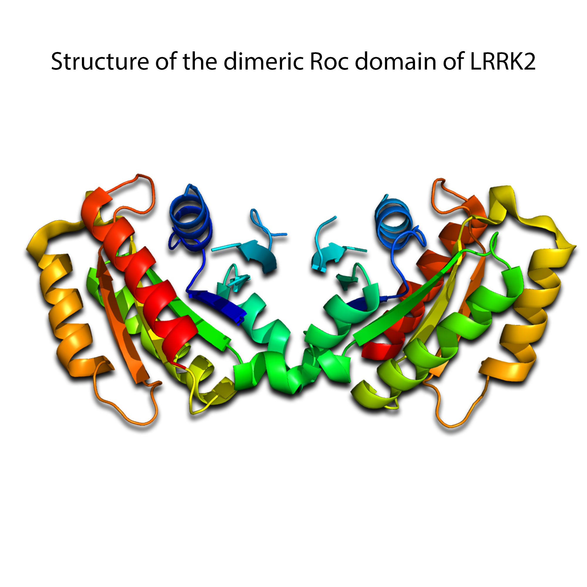 NeuroInitiative: Biotech to Cure Disease